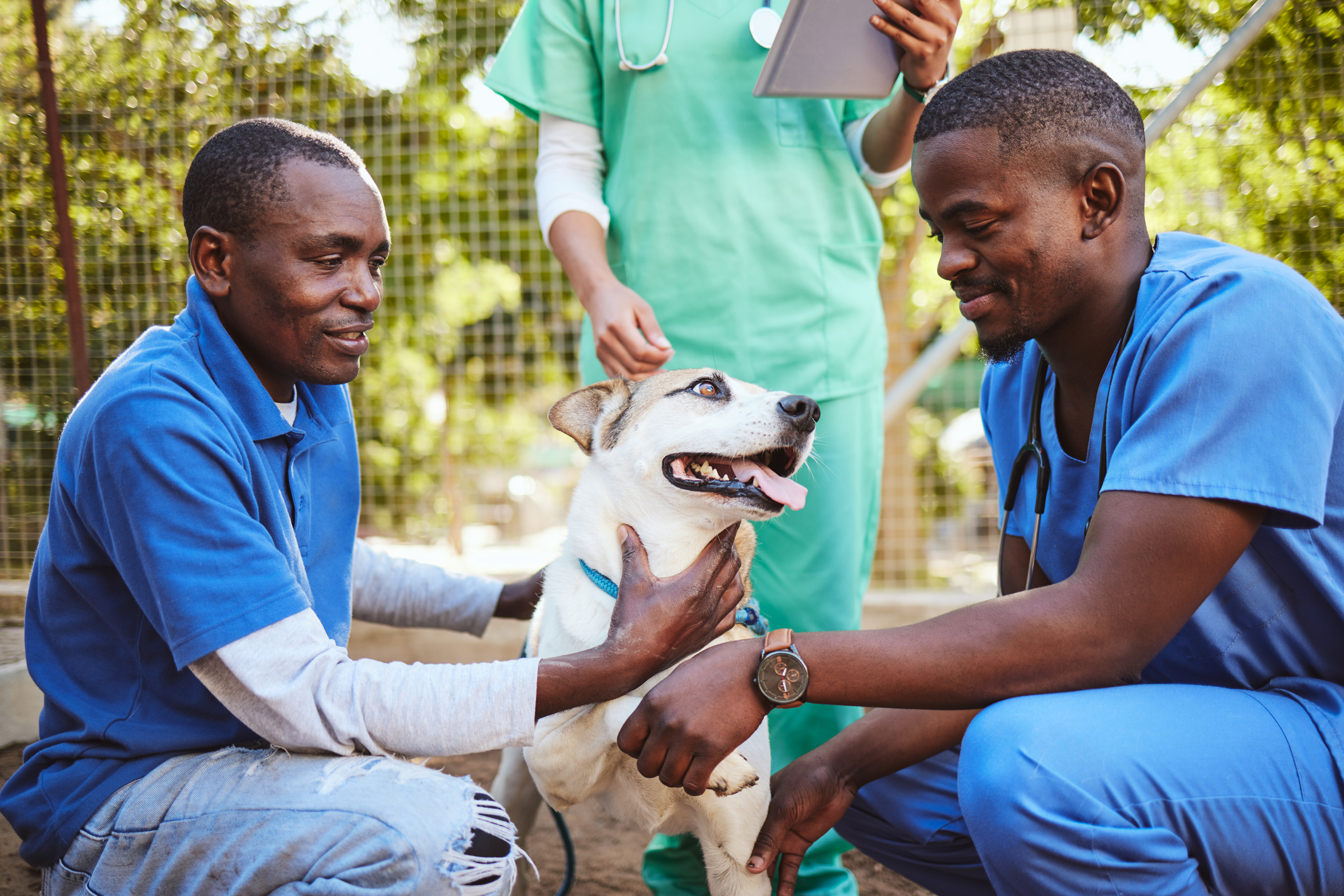 Animal-Related Charities - Give.org